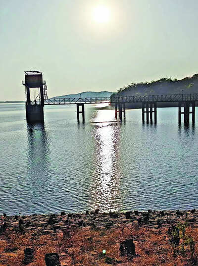 Adani Energy: Adani Energy Drops Plan to Use Patgaon Dam Water ...