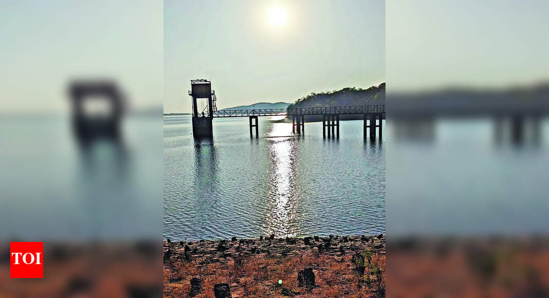 Adani Energy: Adani Energy Drops Plan to Use Patgaon Dam Water ...