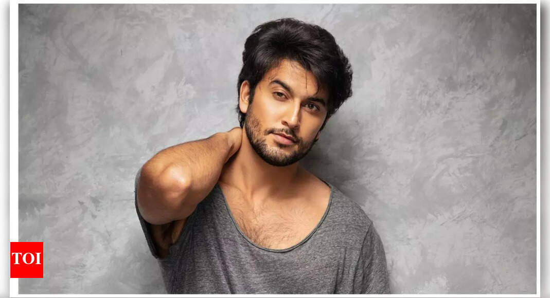 Heropanti 2 actor Navneet Malik to make TV debut with Aankh Micholijan | - Times of India