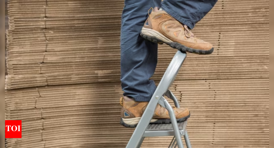 Best Foldable Ladders for Domestic and Professional Use - The Times Reviews