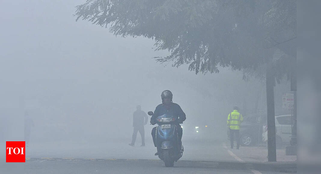City Sees Season’s Third Cold Wave | Gurgaon News - Times of India