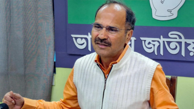 Under fire for souring Congress-TMC ties, Adhir apologises to Derek for ...