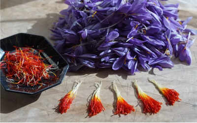 Saffron Benefits For Skin: Get Spotless Beauty With Saffron Infused ...