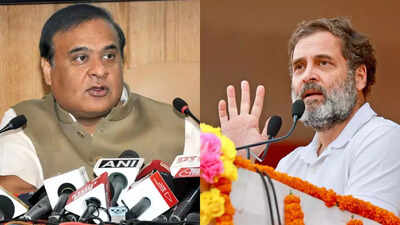 Assam CM to Reveal Name and Address of Rahul Gandhi's Alleged 'Body Double' Used During Nyay ...