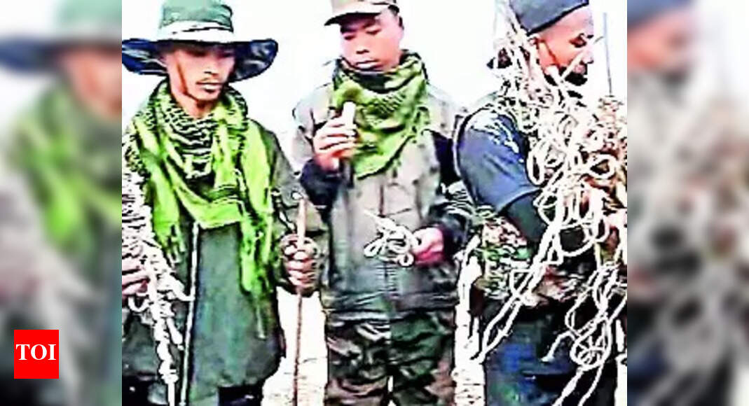 Arambai Tenggol: Arambai Tenggol Seizes 5 Rare Hog Deer From Nat’l Park ...