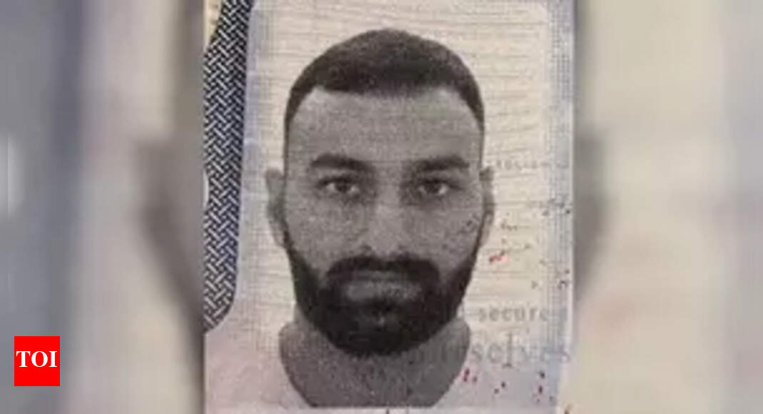 Indian student in US hammered to death by homeless drug addict ...