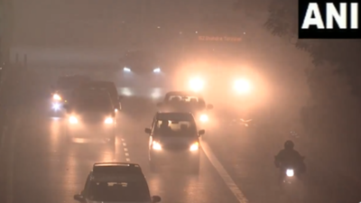 Dense Fog in Delhi-NCR: Reduced Visibility Causes Delays in Trains and Flights | Delhi News ...
