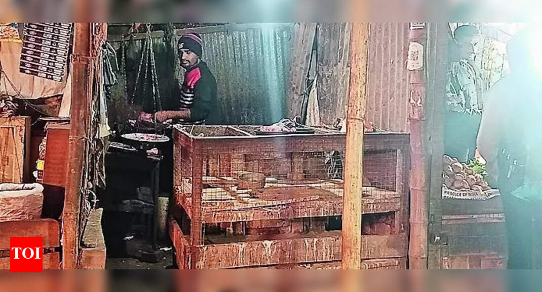 Meat Processing: Unhygienic Meat Processing Continues Unabated in ...