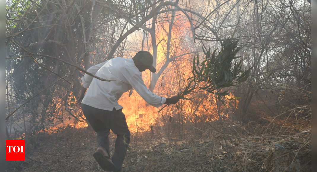 Adopt Remote Sensing Technology to Locate Forest Fire Locations ...