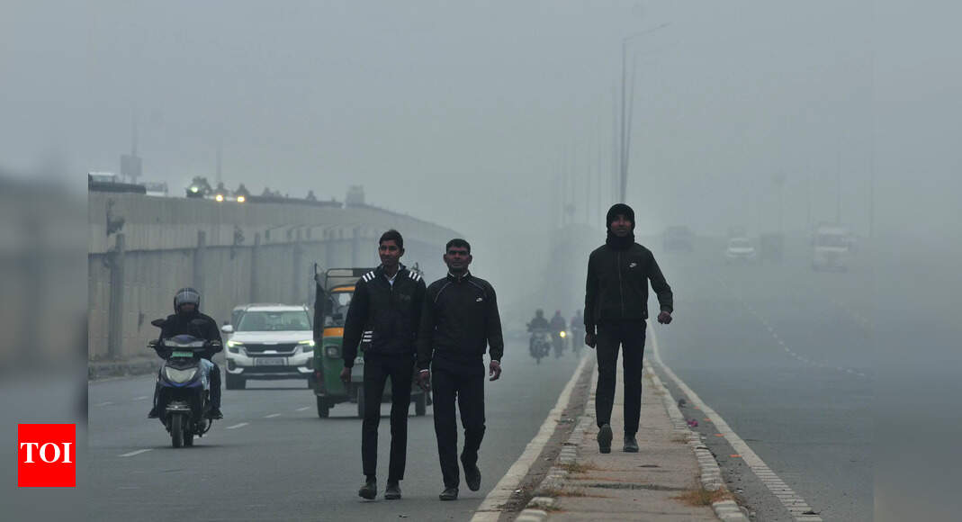 Dense Fog: City Shivers As Dense Fog, Icy Winds Make A Comeback ...