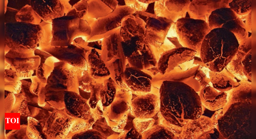 Woman, 85, falls asleep with 'angithi' in room, charred to death ...