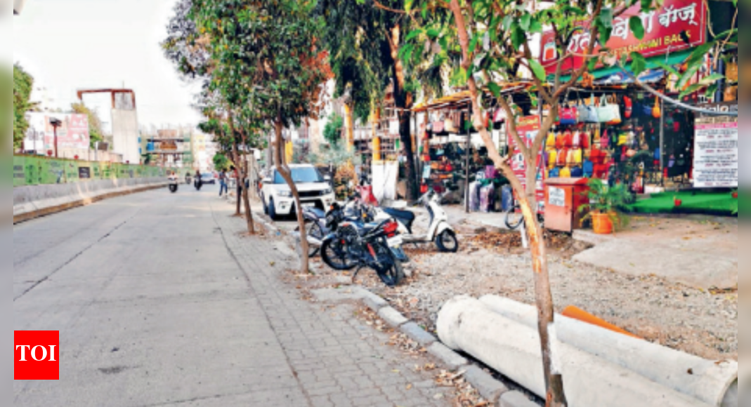 Citizens Seethe As Pmc Plans To Cut 300 Trees In Three Areas | Pune ...