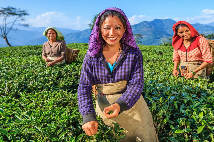 These are the things we love the most about Darjeeling | Times of India ...