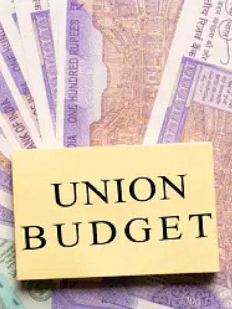 10 Key Budget Terms You Must Know Ahead Of Budget 2024 | Times Now