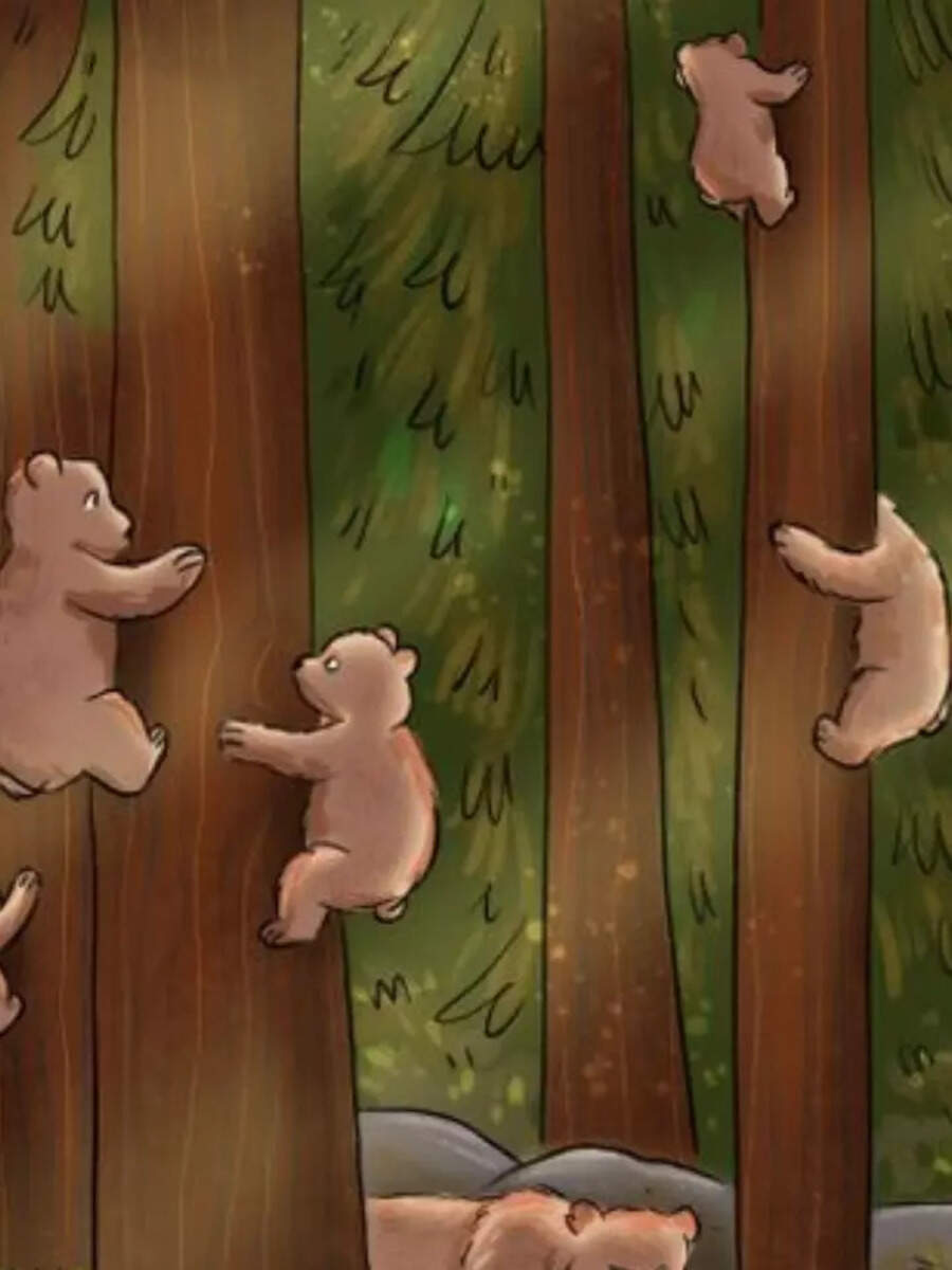 Optical Illusion: Find the Human Hiding Among These 11 Bears | Times Now