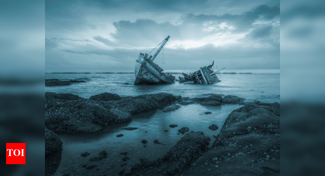 Shipwreck Discovery on Cape Ray Beach | 19th Century Maritime Find ...