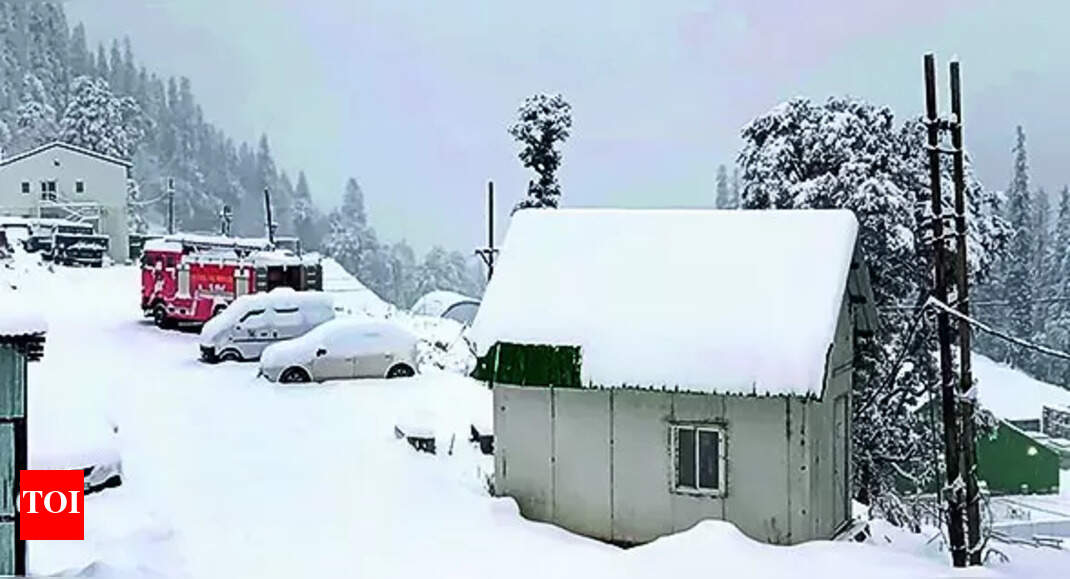 Rain Deficit: 91% Rain Deficit In Nw India In Jan, 2nd Highest Since ...