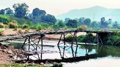 Rayagada Villagers: Rayagada Villagers Build Bridge In One Day ...