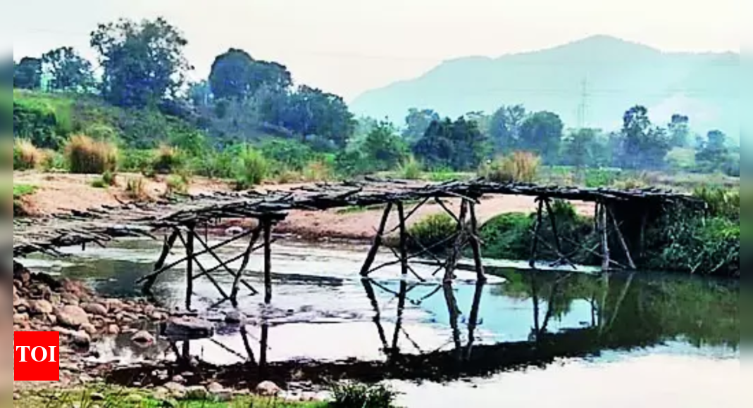 Rayagada Villagers Build Bridge In One Day | Bhubaneswar News - The ...