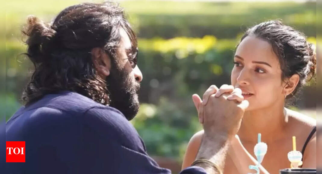 Triptii Dimri: From 'Laila Majnu' to 'Animal', the Journey of a ...