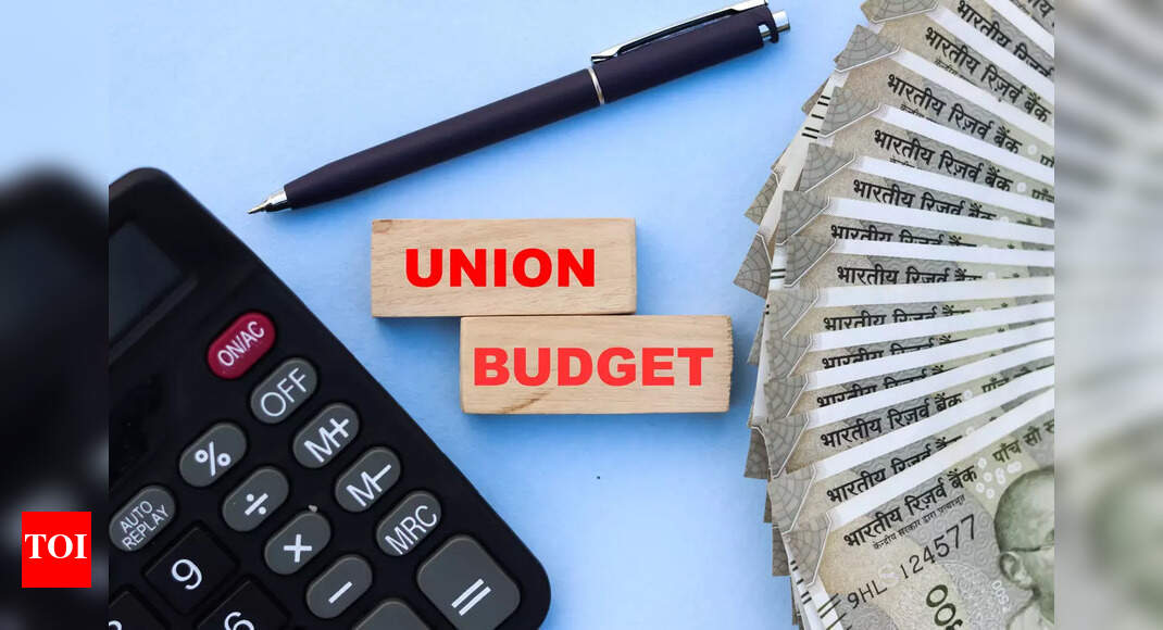 Budget 2024: FM Nirmala Sitharaman unveils Rs 1 lakh crore fund for ...