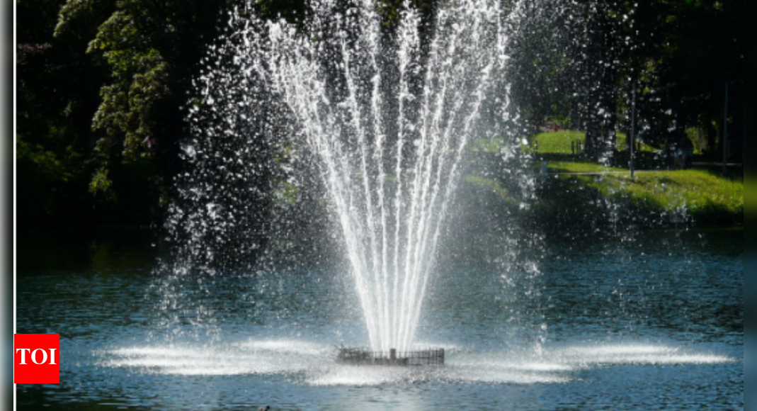 Delhi: Jumbo revamp! RML roundabout to get 5 sculptures, fountains and ...