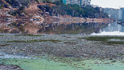 Khajaguda Lake: The Environmental Crisis Unveiled | Indian News ...