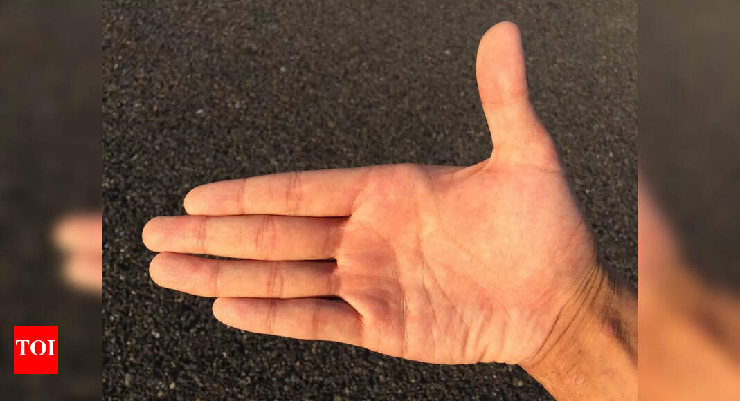 A beginner's guide to Palmistry and its secrets - Times of India