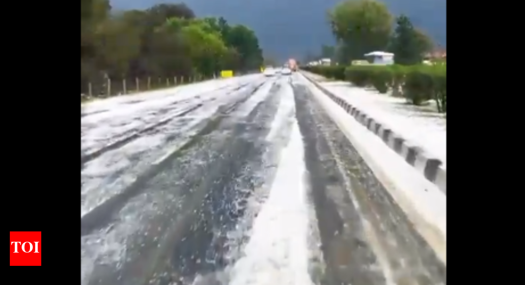 Punjab Hailstorm: Minimal Crop Damage as Rain Benefits Wheat Crops ...