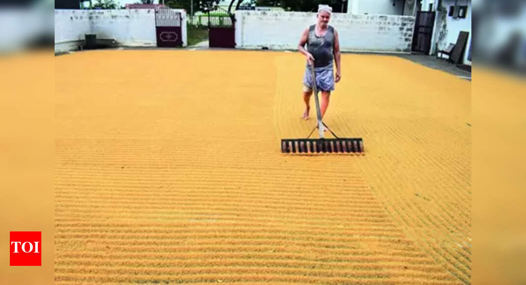 Rice Prices: Rice Prices Shoot Up Over Low Yield, Supply | Coimbatore ...