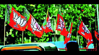 Bjp’s ‘qaumi Chaupal’ To Woo Muslims In 4,100 Villages In Up | Lucknow ...