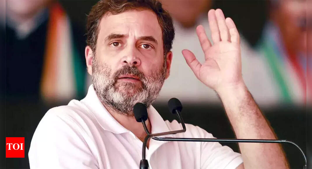 'Modi is Adani's capital': Congress leader Rahul Gandhi at Bharat Jodo ...