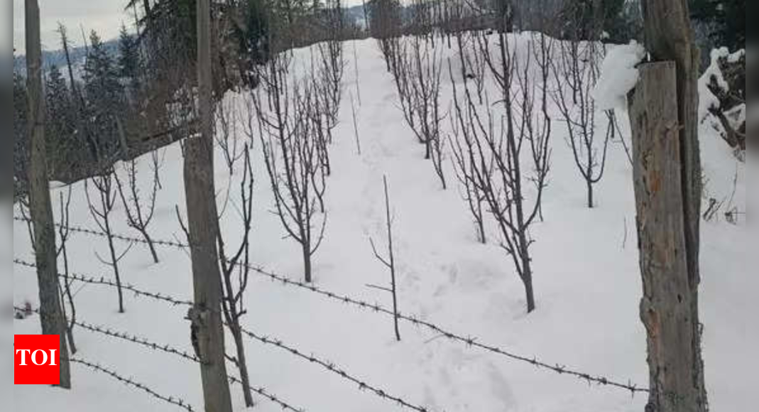 504 roads blocked; power and water schemes disrupted due to snowfall in ...