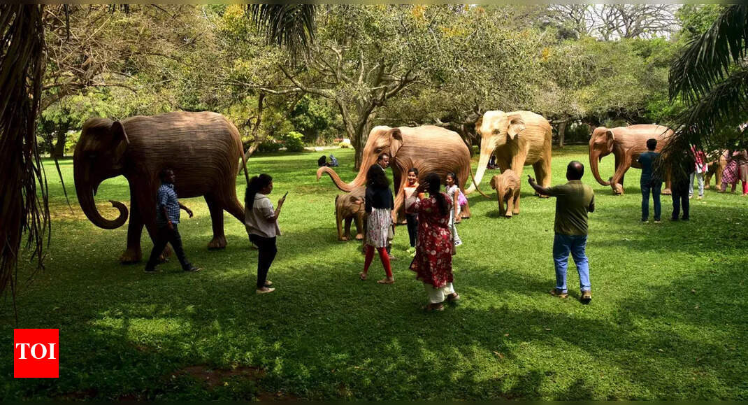 Wooden elephants stomp through Lal Bagh in Bengaluru | Events Movie ...
