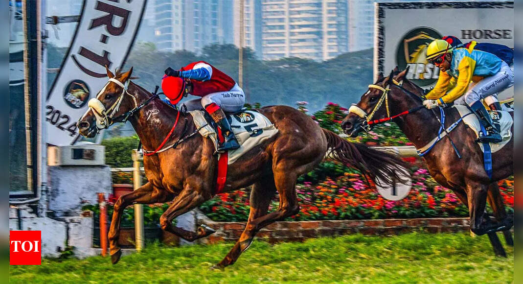 Indian Derby: Enabler gallops to sensational victory | More sports News ...