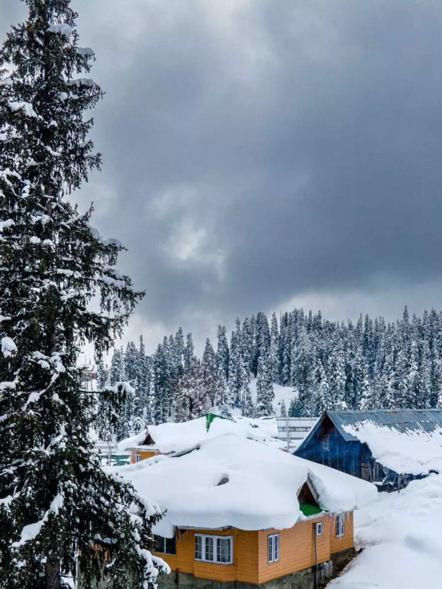 Gulmarg: Gulmarg turns into a winter wonderland! | Times of India