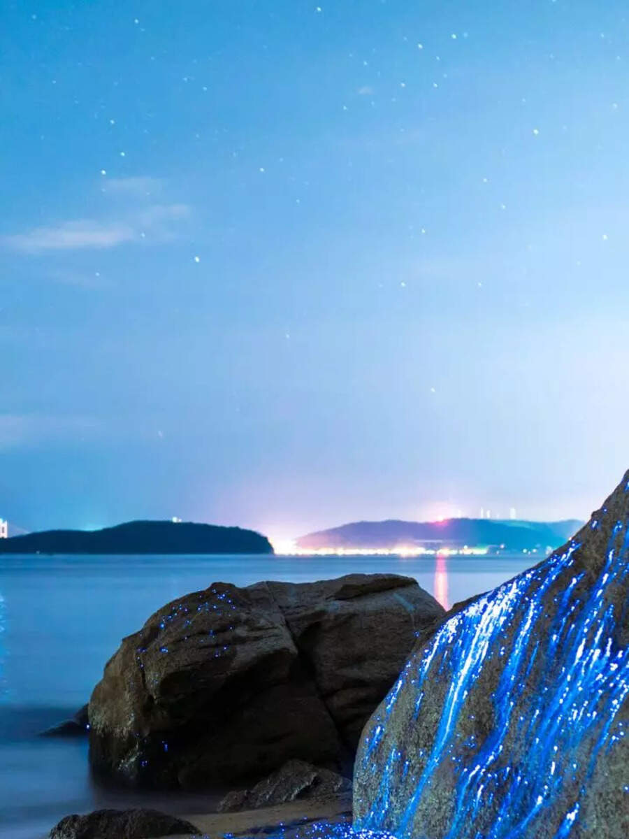 7 Beaches On Earth That Glow During Night | Times Now