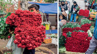 Valentine's Day: The Rising Cost of Roses | Delhi News - Times of India