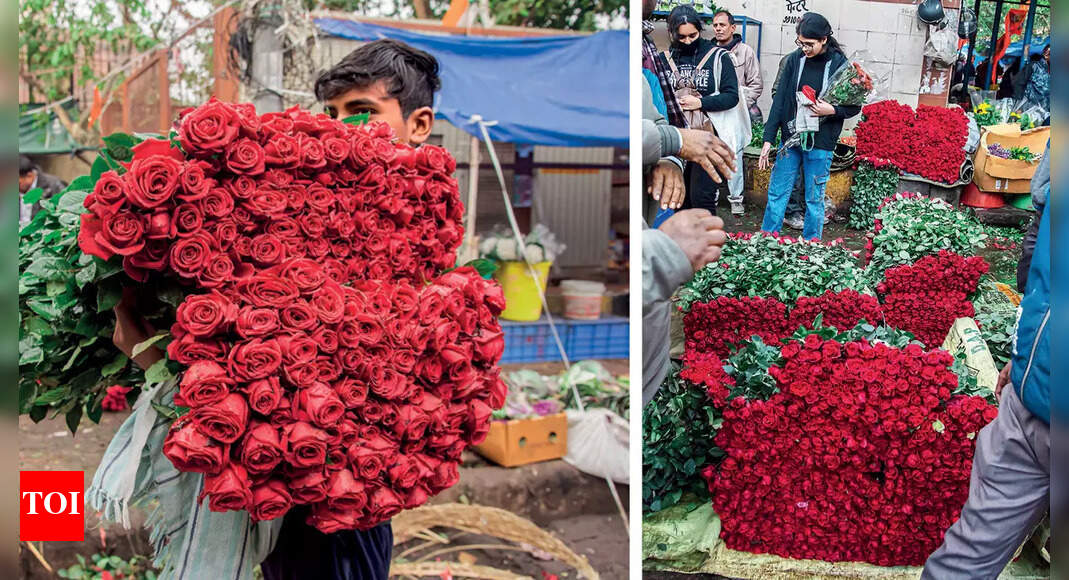 Valentine's Day: The Rising Cost of Roses | Delhi News - Times of India