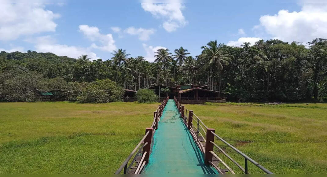 Tropical Spice Plantation: Exploring one of Goa’s oldest spice ...