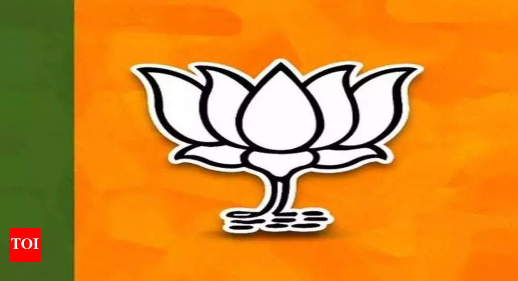 Taking action against BJP MLA Ganpat Gaikwad is internal matter of ...