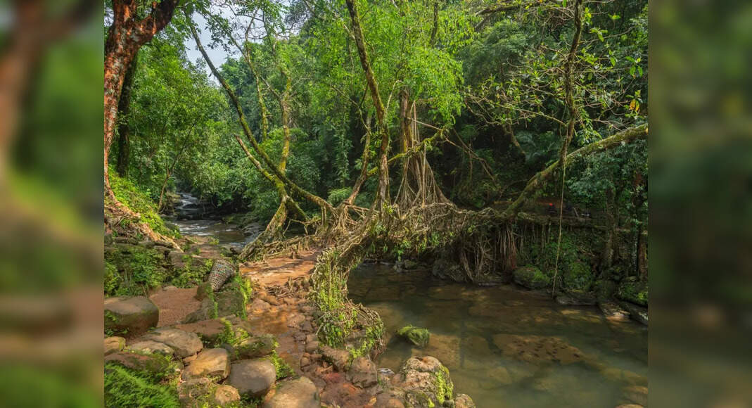 Discovering Meghalaya's most stunning natural attractions | Times of ...