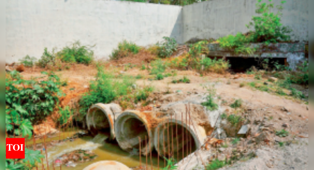 Sewage diverted from Matrusri Nagar, lake turns into cesspool ...