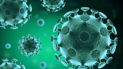 What is Monkey Fever: Monkey fever cases rising in India, Know what it ...