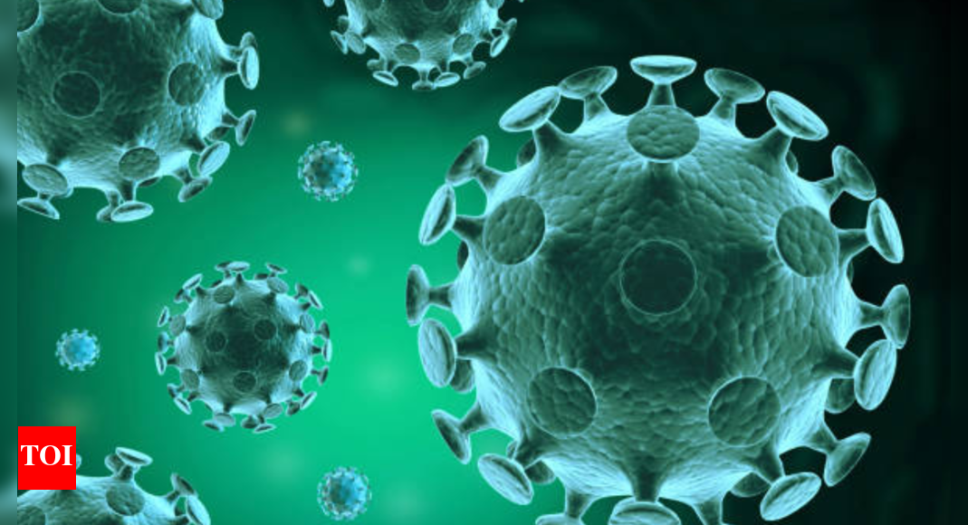 What is Monkey Fever: Monkey fever cases rising in India, Know what it ...