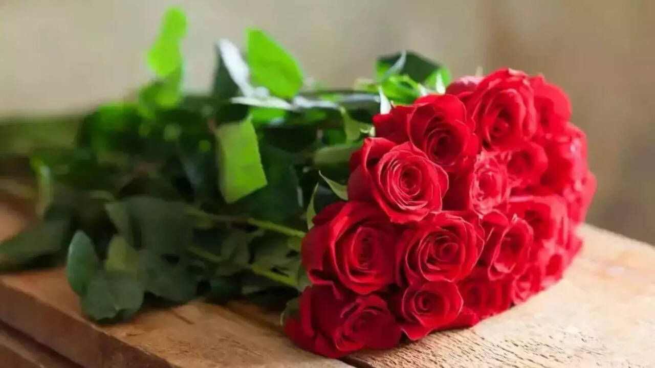 Rose Day 2024: Exploring The Significance And Varieties Of Roses