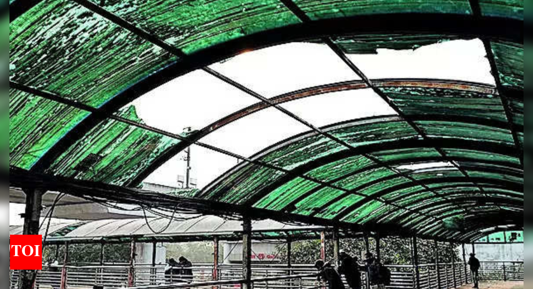 Charbagh Fob, A Bridge No One Wants To Cross | Lucknow News - Times of ...