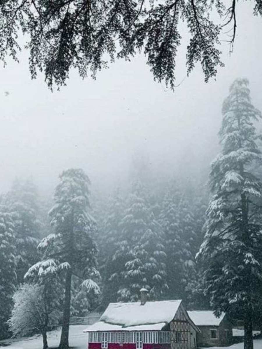 5 Himachal Pradesh Snowfall Places: Shimla, Kufri, Kullu, Manali ...