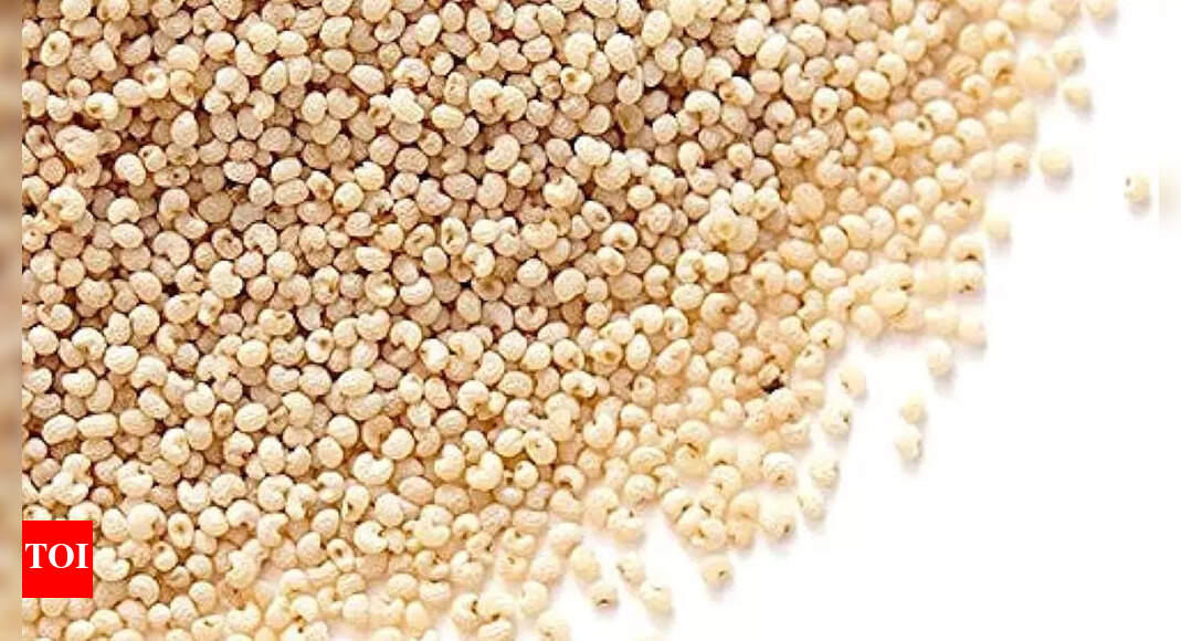 Discover the Versatile Khus Khus: Origins, Uses, and More | - Times of ...