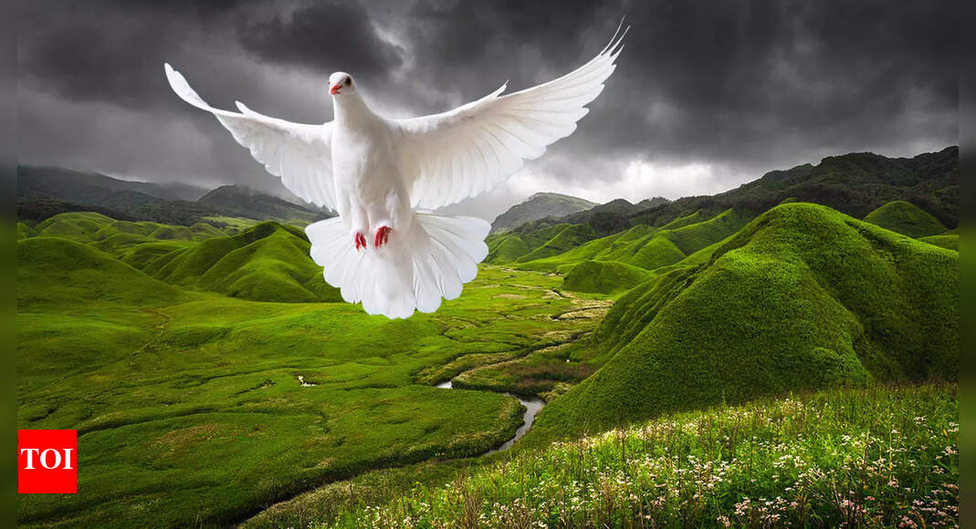 How to bring peace to Manipur’s troubled land | Imphal News - Times of ...